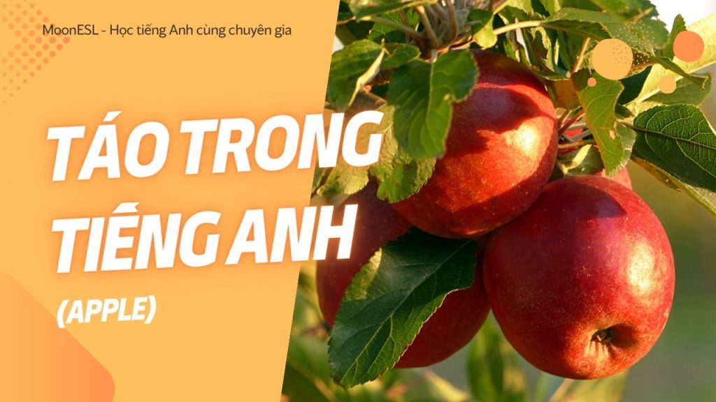 "Táo" trong tiếng Anh - Moon ESL